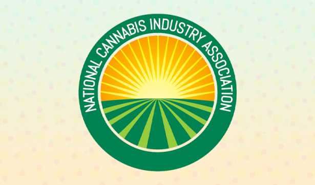 Introduction to NCIA: Video Interview with the National Cannabis ...